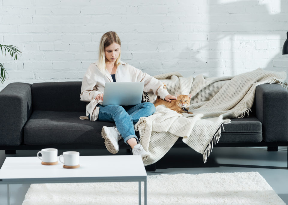 Model CV 2023. Downloadează aici modele de succes!